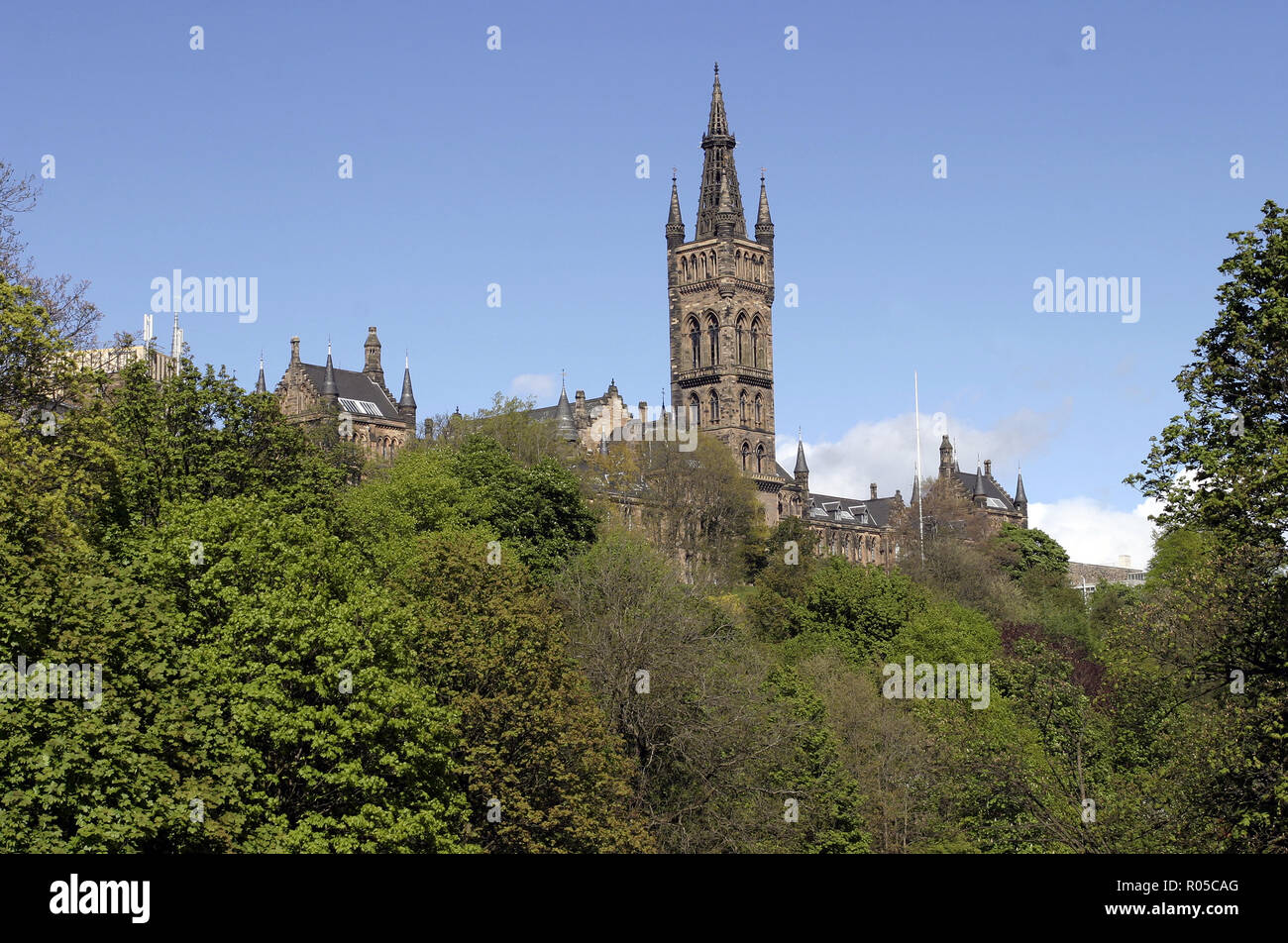 The famous bell tower and gothic spire look down on a canopy of trees ...