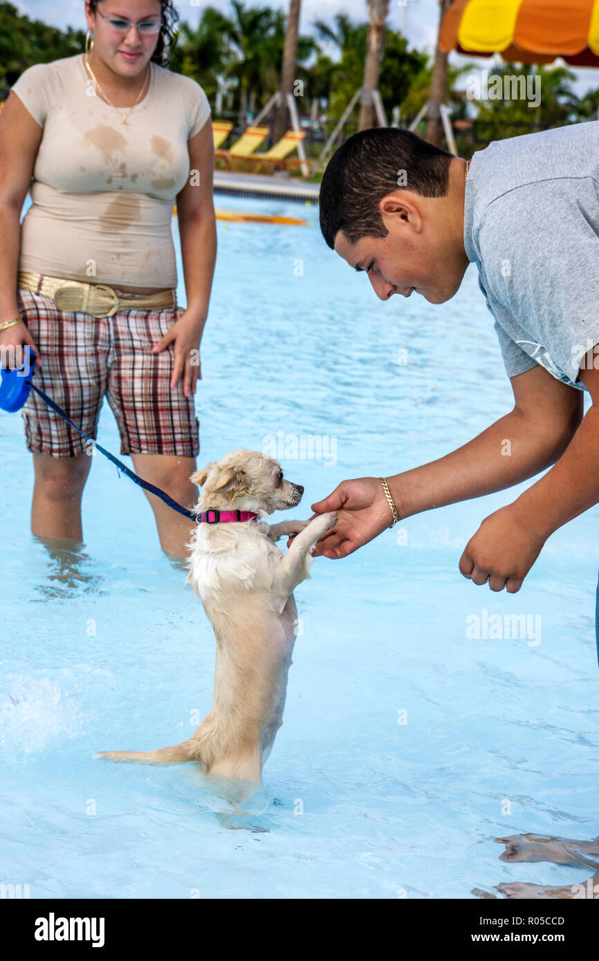 Miami Florida,Grapeland Water Park,dog dogs A Pool Ooza,Black Beard's ...