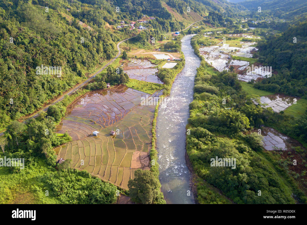 Paddy field near river at rural valley in Sabah Malaysia Borneo Stock ...