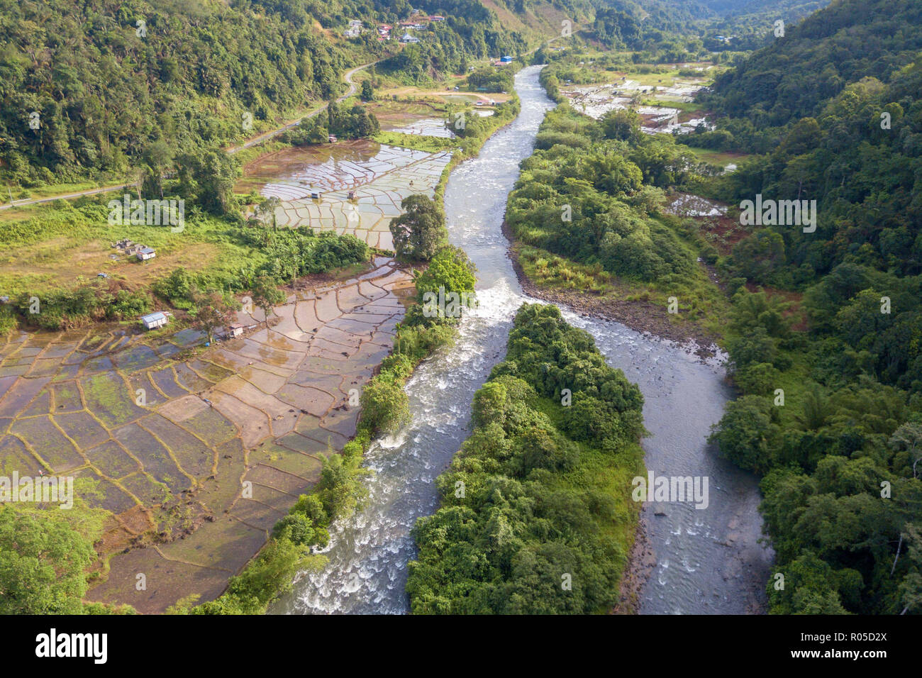 Paddy field near river at rural valley in Sabah Malaysia Borneo Stock ...