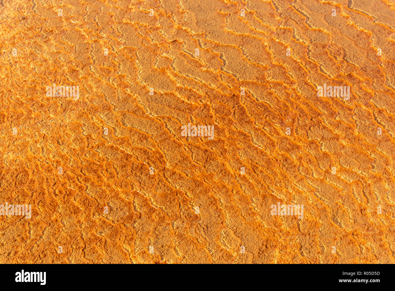 Travertine terrace at sunrise near Orost, one of the rare pure ...
