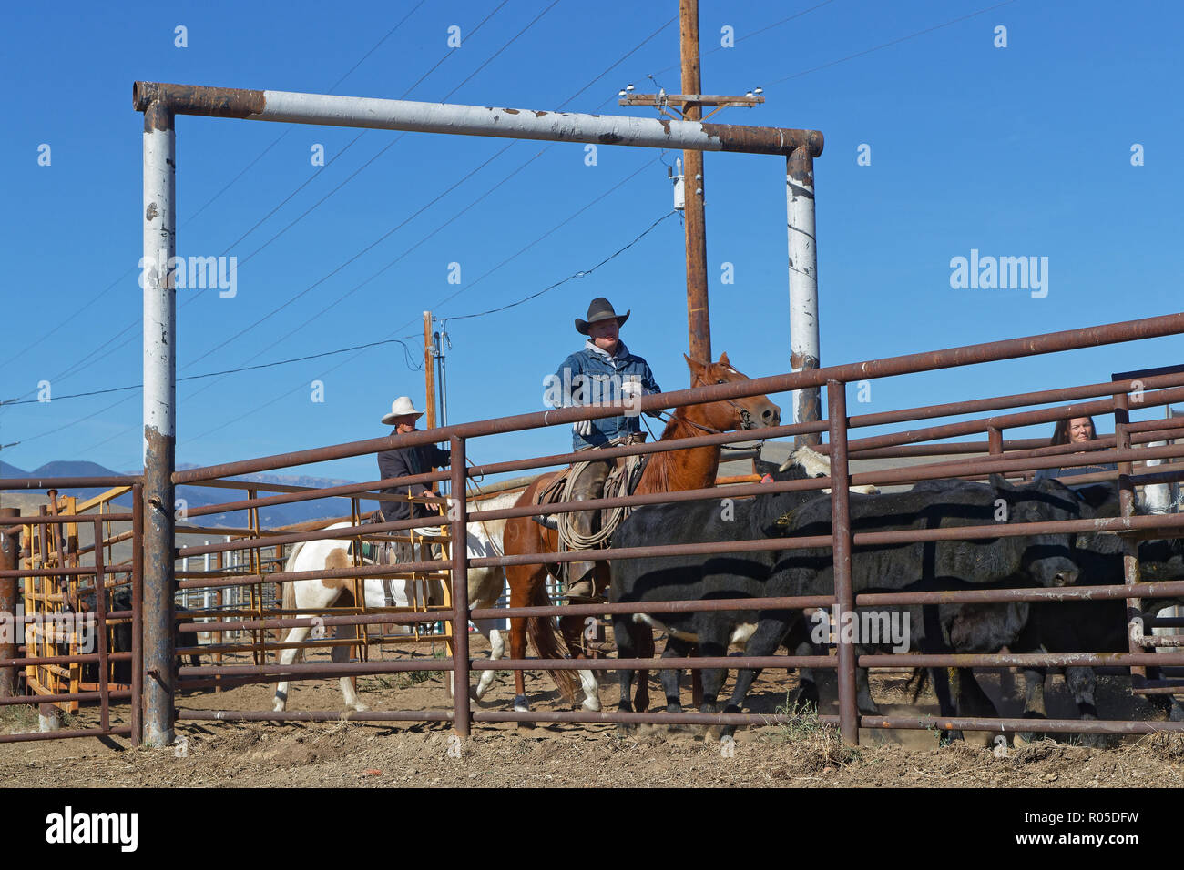 Montana cowboys hi-res stock photography and images - Alamy
