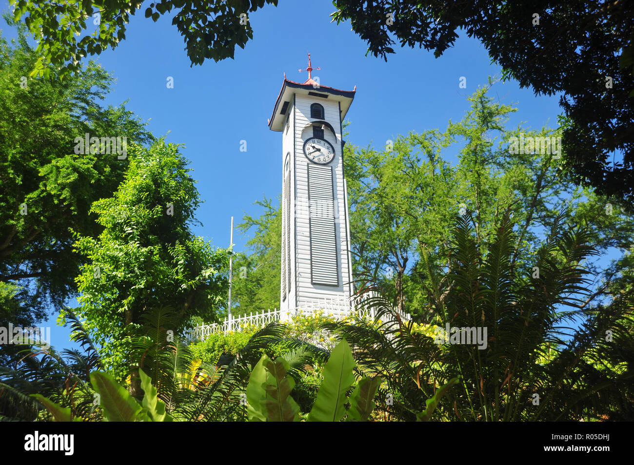 Pre-war Atkinson Clock Tower with green foliage at Kota Kinabalu city ...