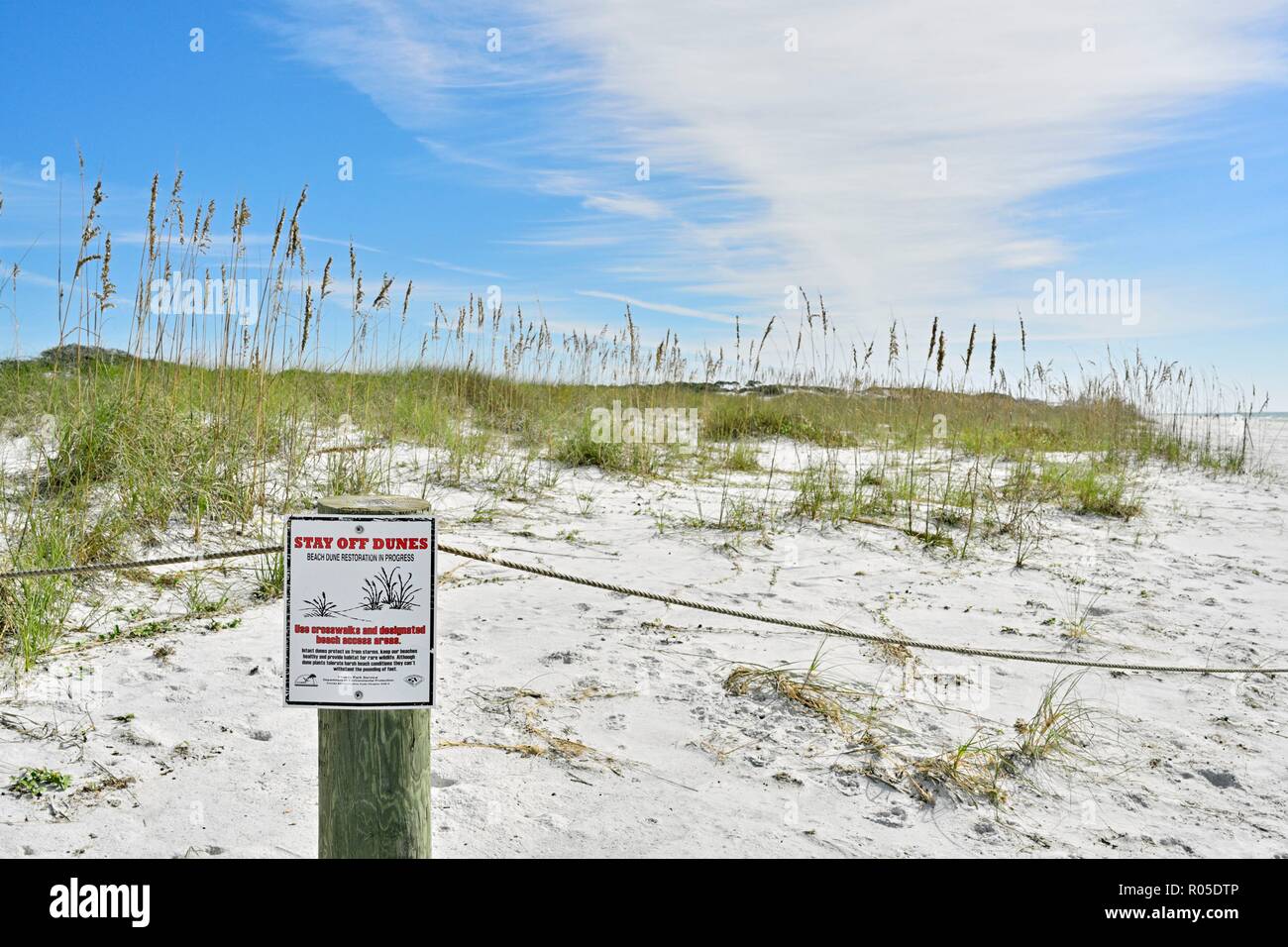 Florida Beach Sand Dunes 440+ Florida Beach Sand Dune Fence Stock