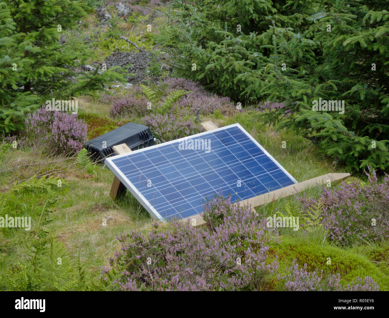 Mobile Solar Panel Generating Off Grid Electricity in a Forest, UK ...