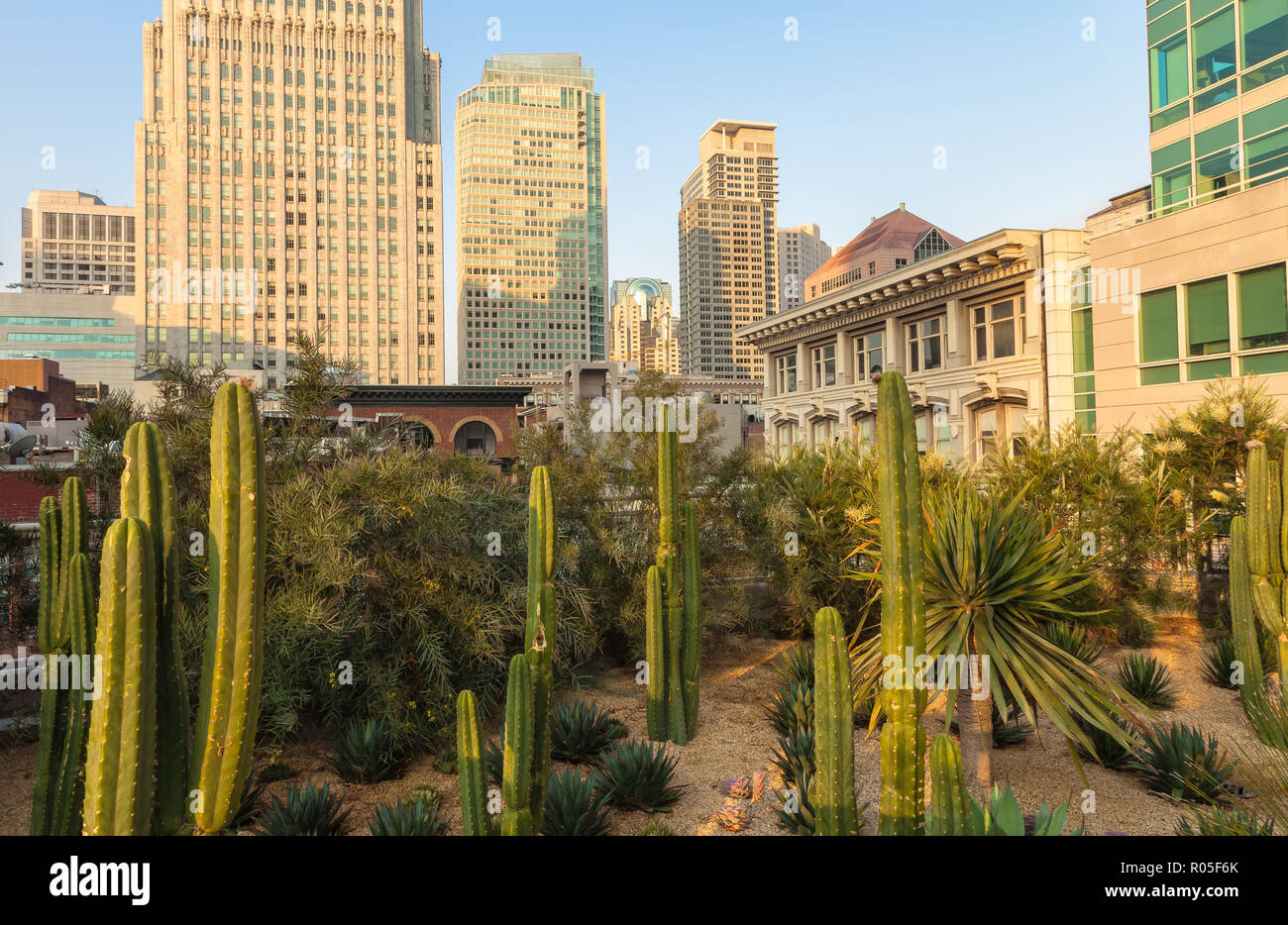 Agaves garden in the rooftop park at Salesforce Transit Center, with ...