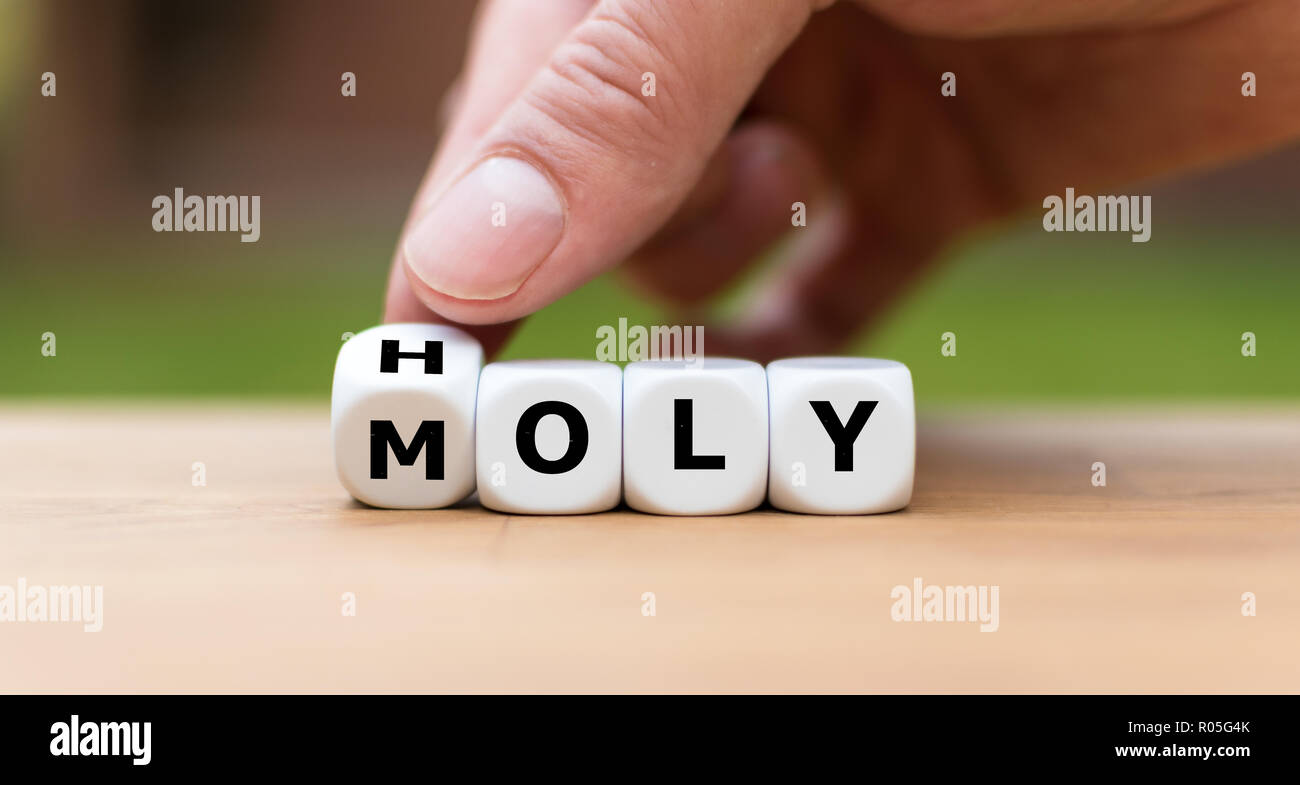 Hand Is Turning A Dice And Changes The Word holy To moly Stock Photo Alamy hand-is-turning-a-dice-and-changes-the-word-holy-to-moly-stock-photo-alamy