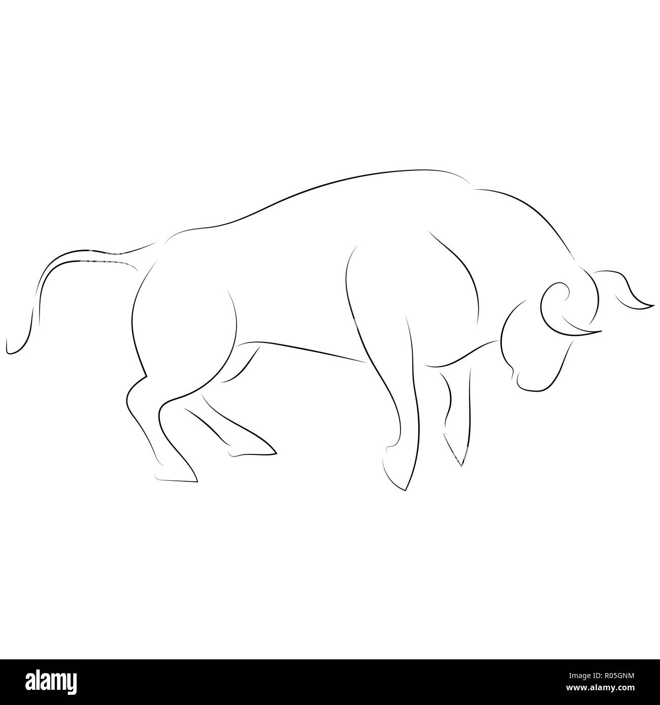 Black line attacking bull on white background. Hand drawing vector ...