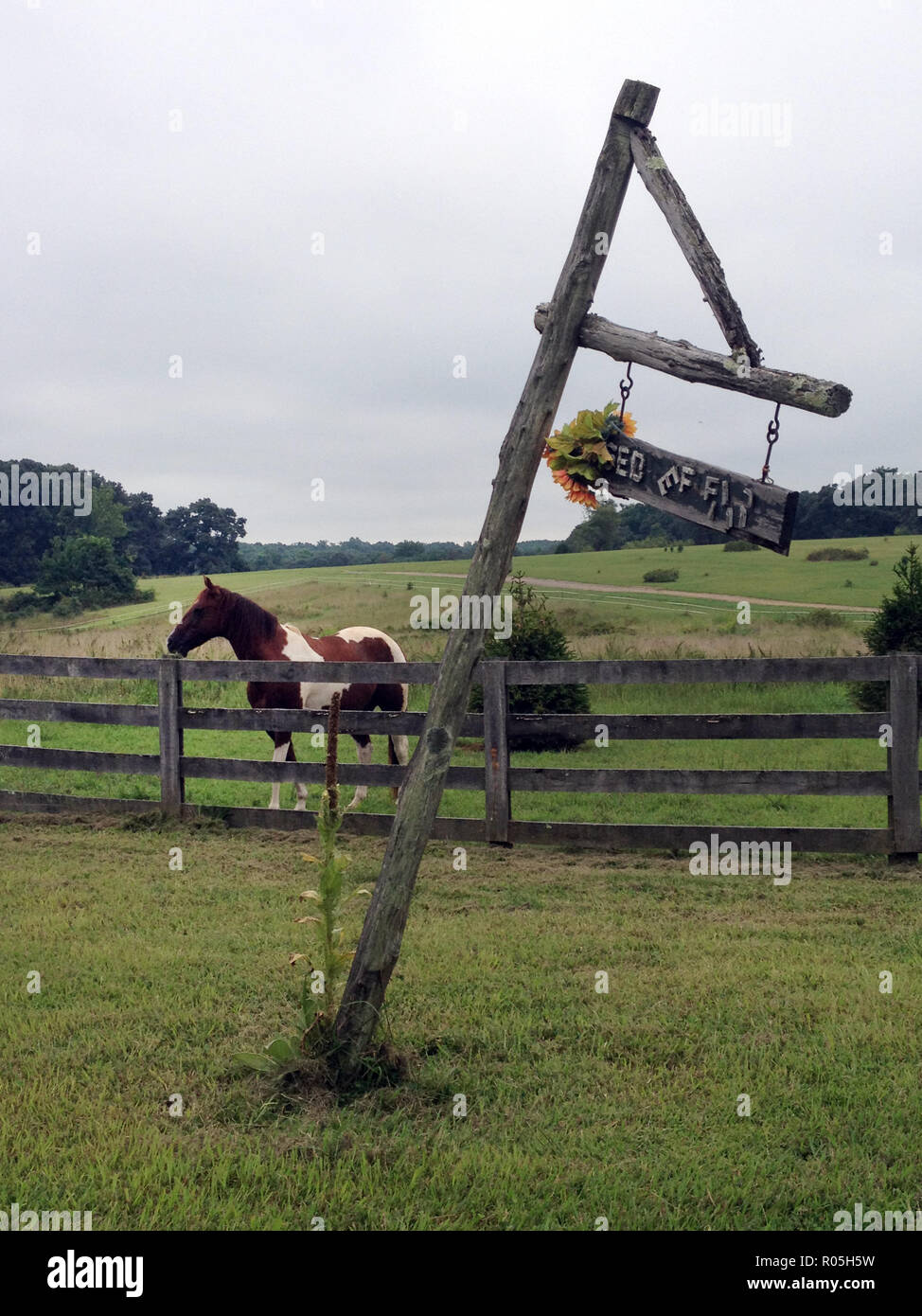 Virginia horse pasture hi-res stock photography and images - Alamy