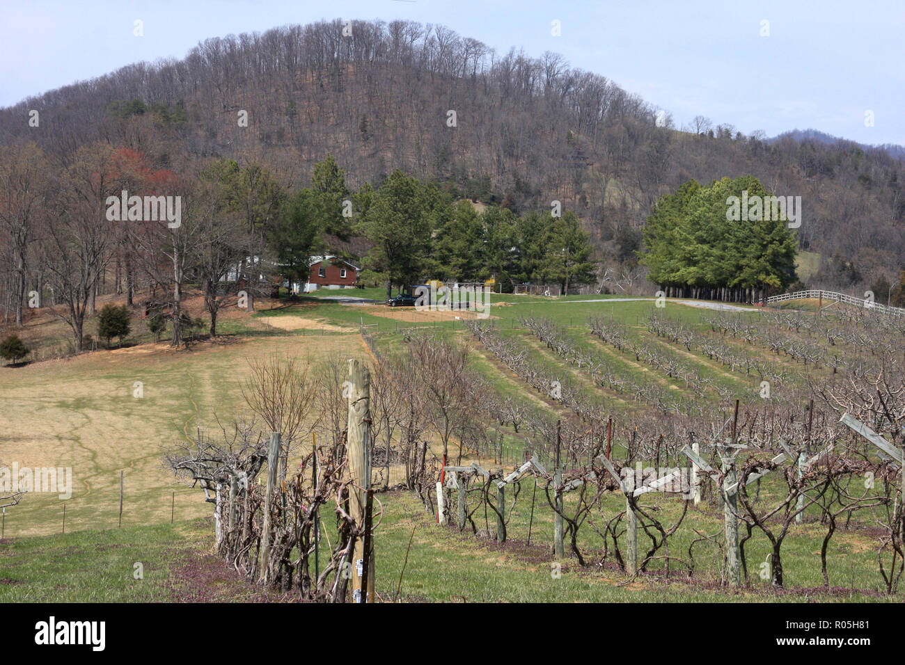 Blue ridge mountains vineyard hi-res stock photography and images - Alamy