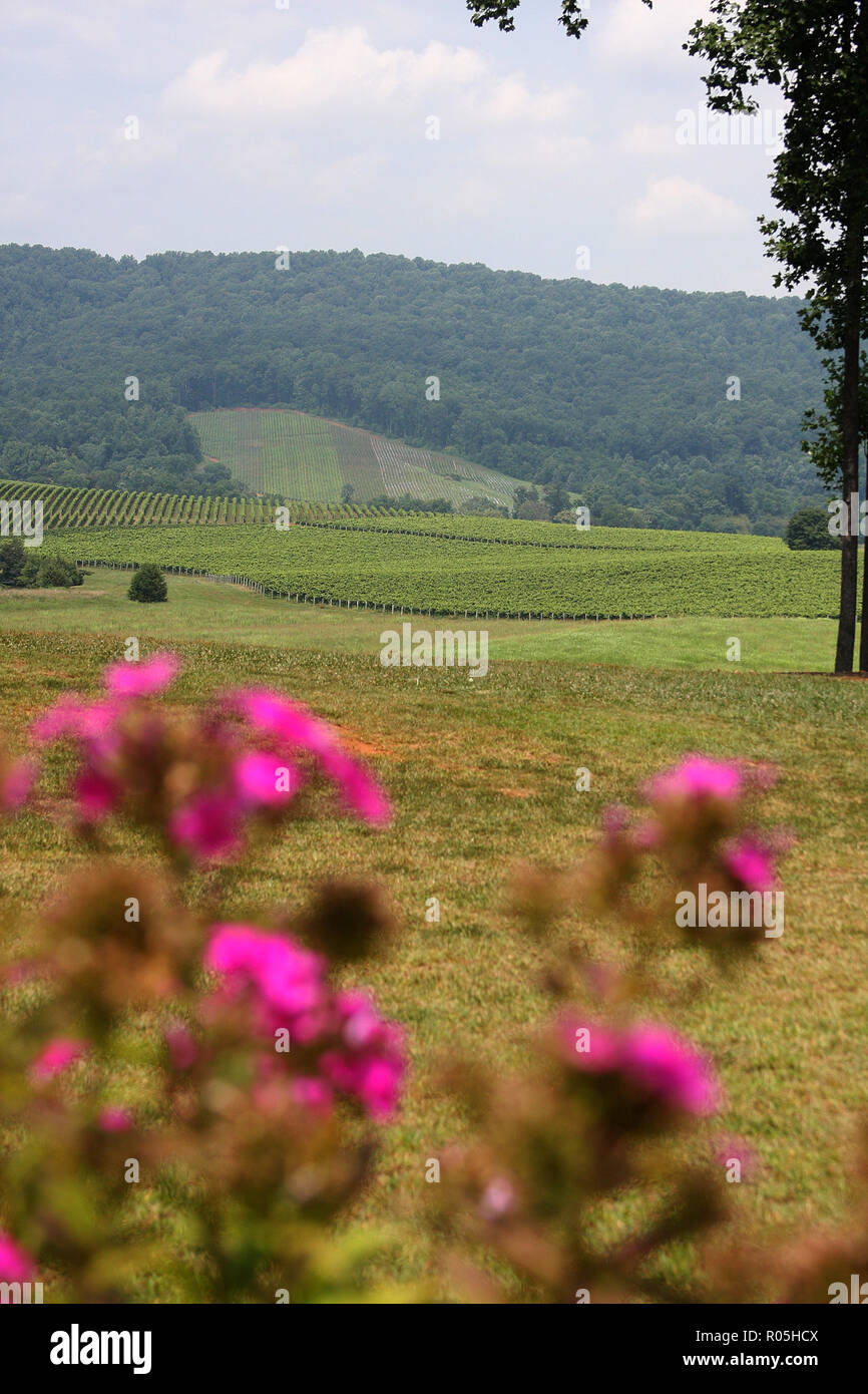 Trump winery hi-res stock photography and images - Alamy