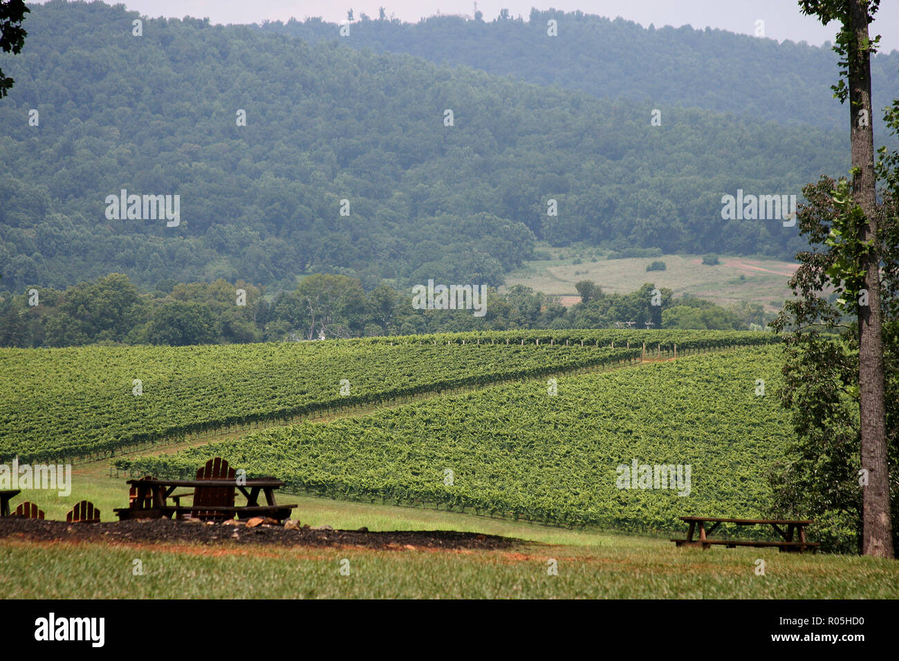Trump winery and virginia hi-res stock photography and images - Alamy