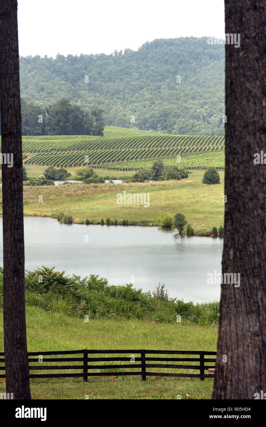 Trump winery hi-res stock photography and images - Alamy