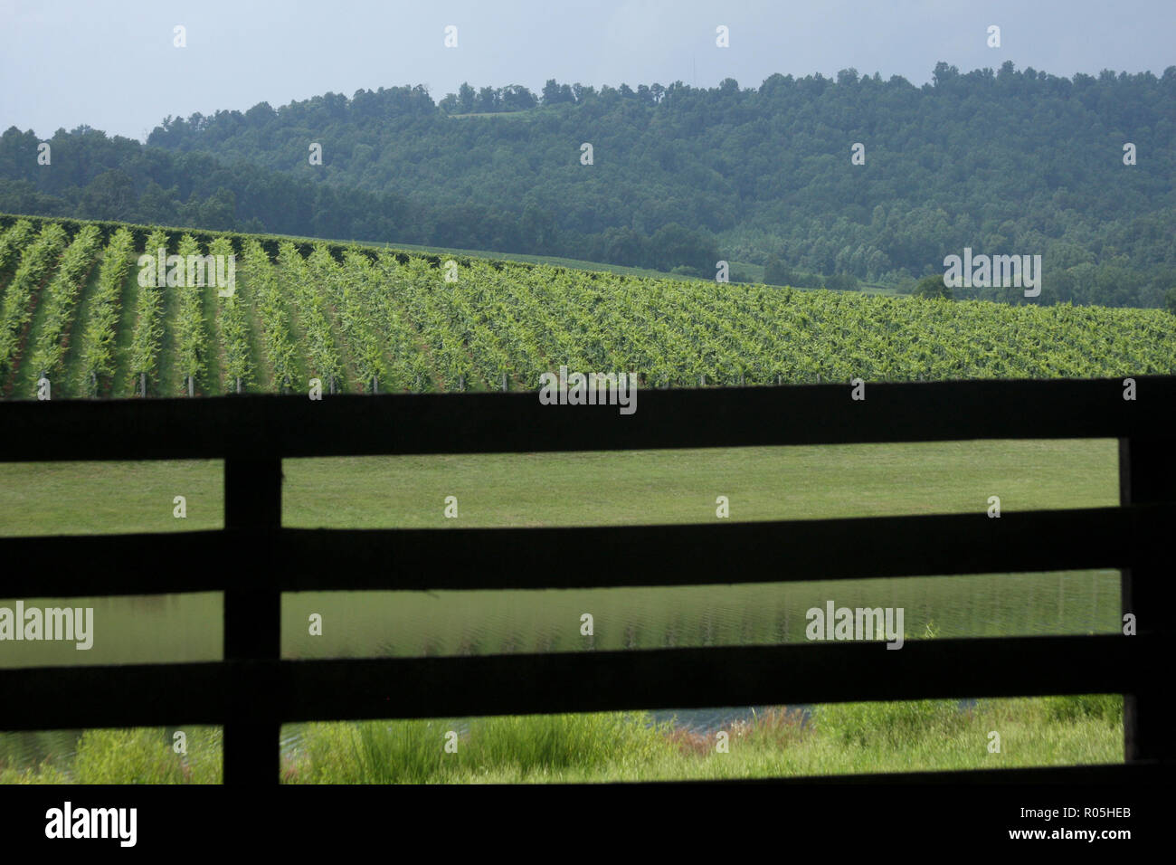 View of the Trump Winery in Virginia, USA Stock Photo - Alamy