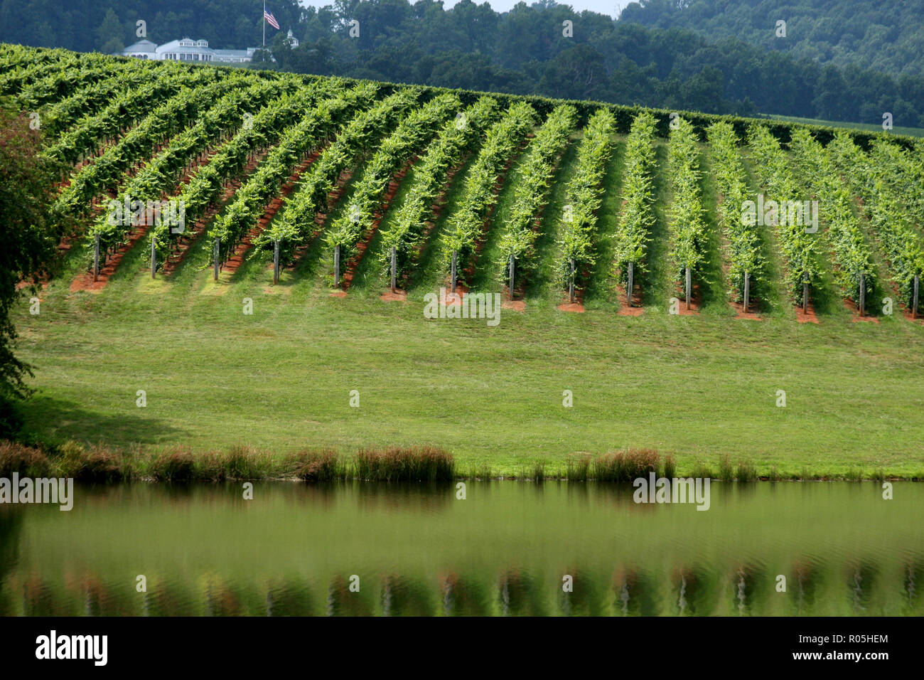 Trump winery hi-res stock photography and images - Alamy