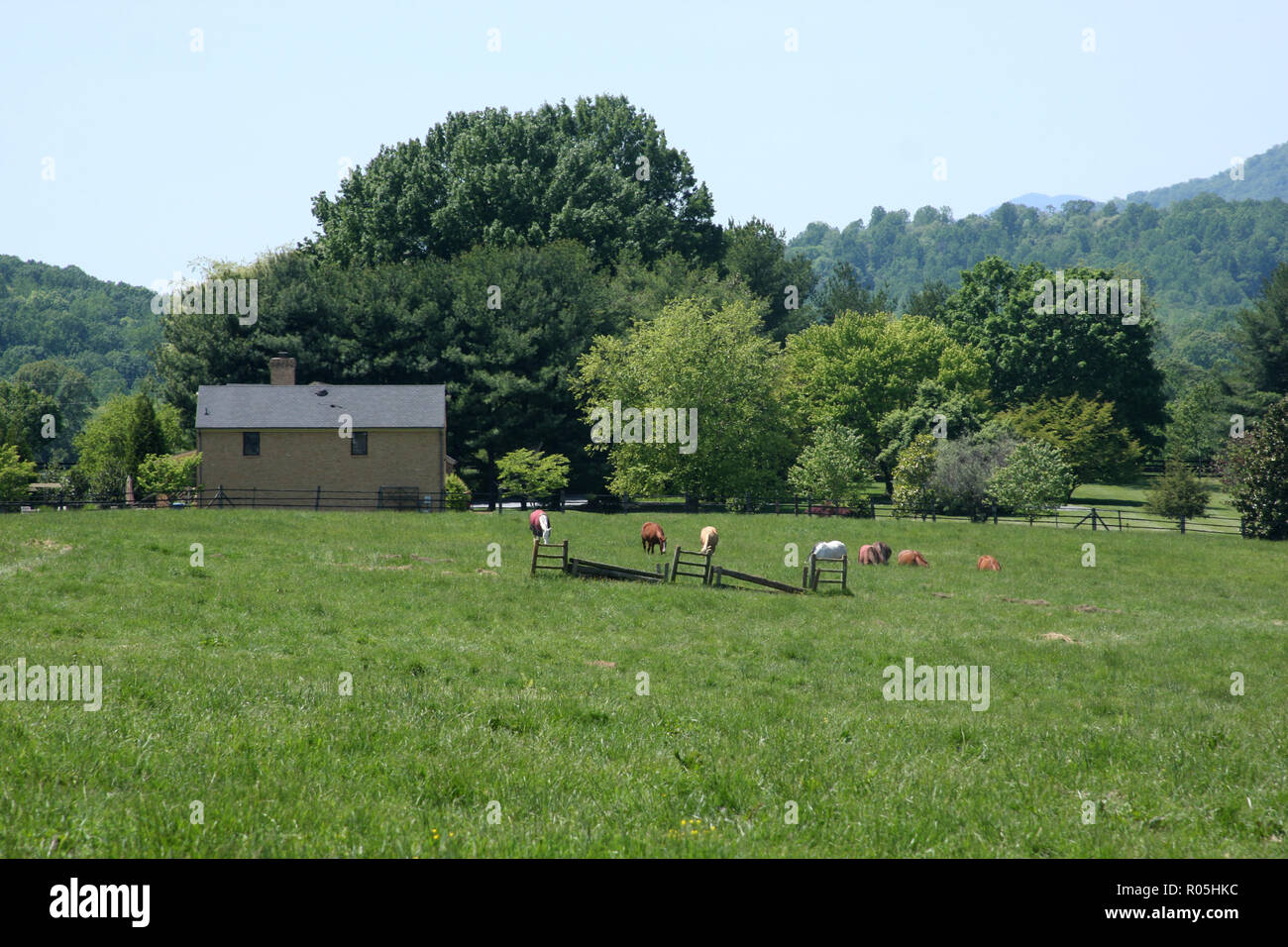 Horses in pasture in rural Virginia Stock Photo - Alamy