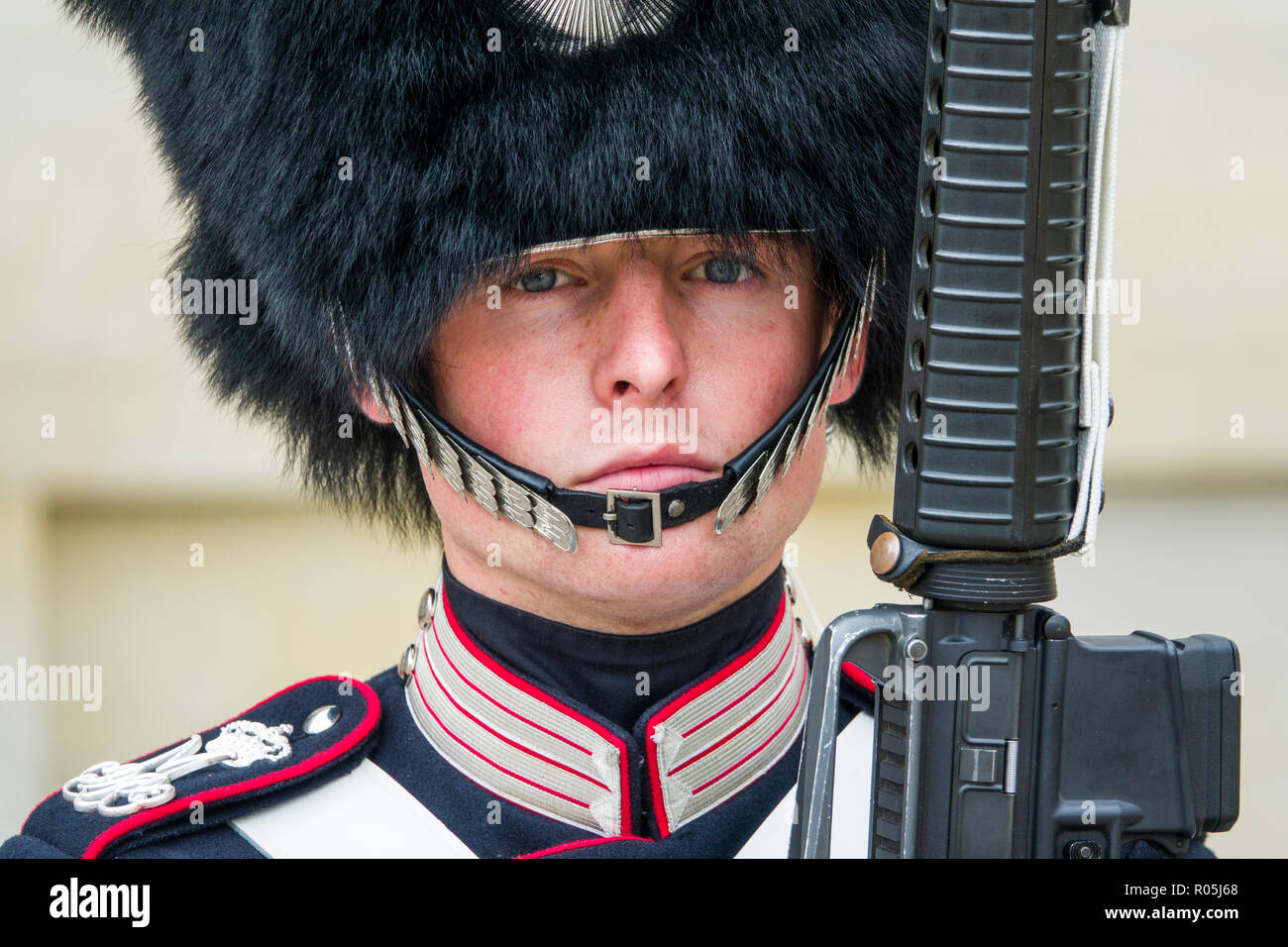 Honor guard soldier at Amalienborg Palace courtyard Copenhagen Denmark ...