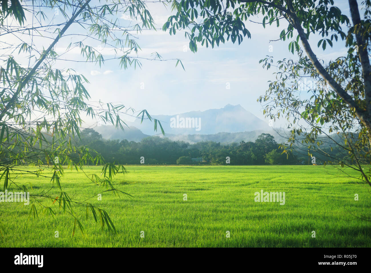 Travel landscape malaysia land hi-res stock photography and images - Alamy