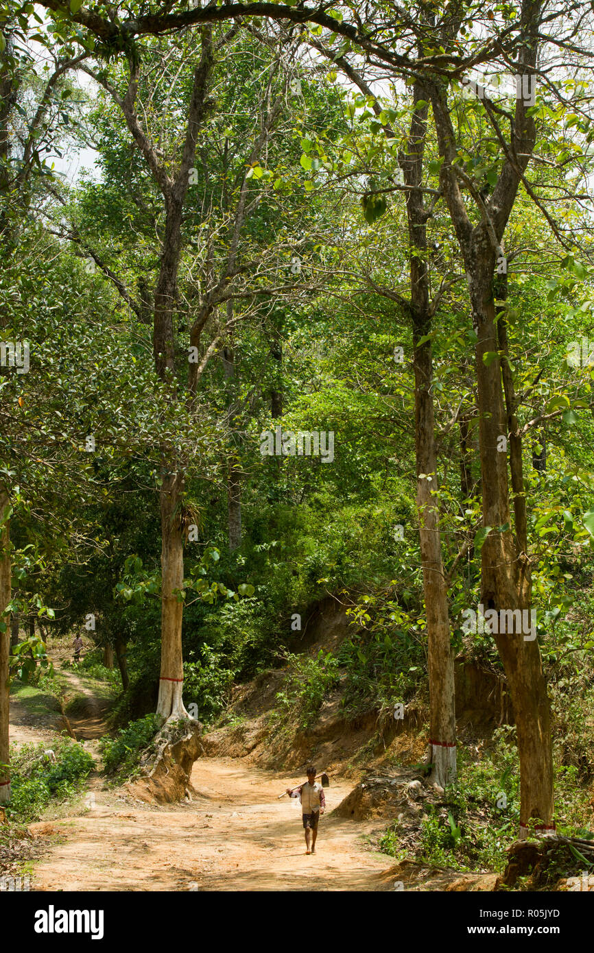 Rema kalenga wildlife sanctuary hi-res stock photography and images - Alamy