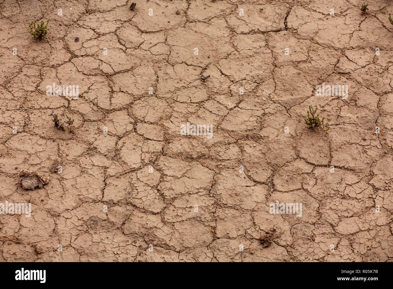 Red dry earth during Australia's droughts in western NSW Stock Photo ...