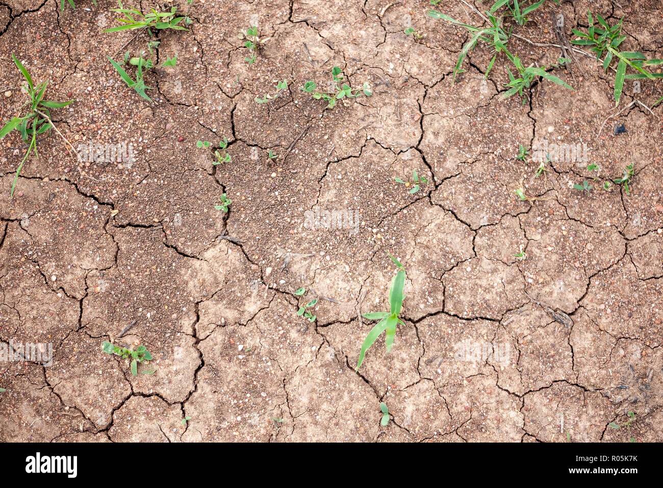 Red dry earth during Australia's droughts in western NSW Stock Photo ...