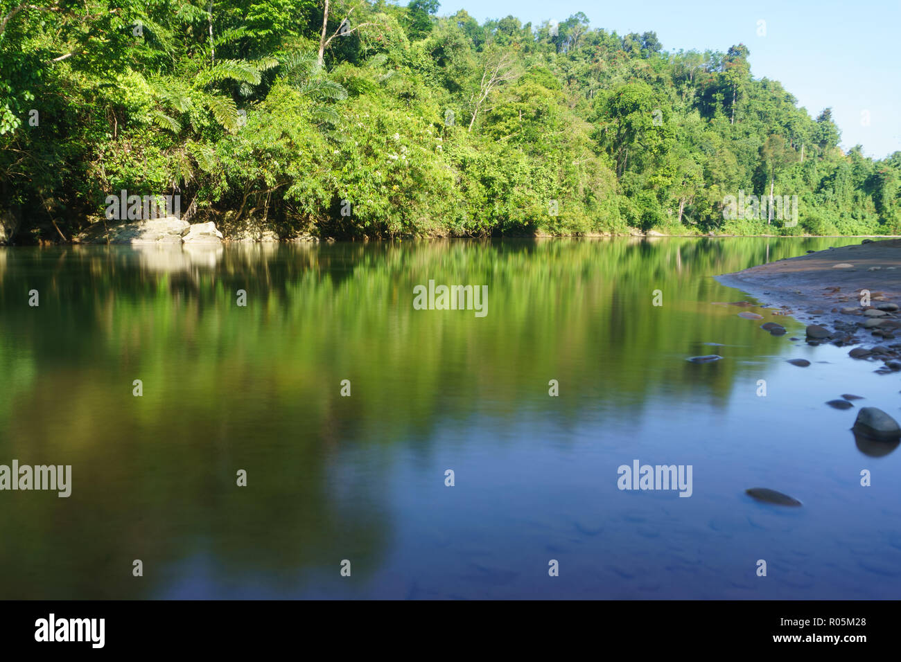 nature jungle river in Sabah Malaysian Borneo Stock Photo - Alamy
