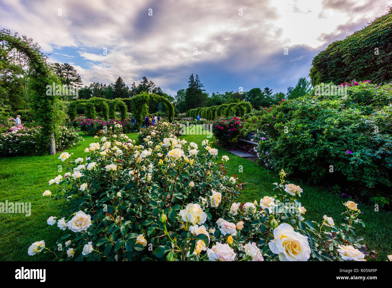 Elizabeth Park Hartford, Connecticut, USA Stock Photo - Alamy