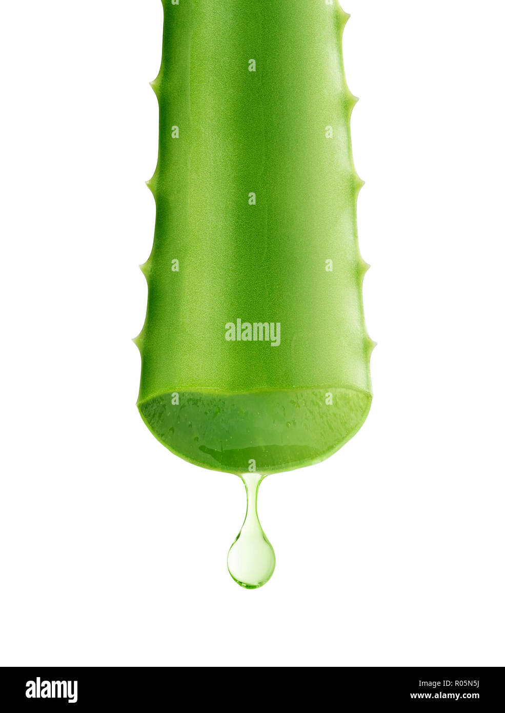 Aloe Vera gel dripping isolated on white background Stock Photo - Alamy