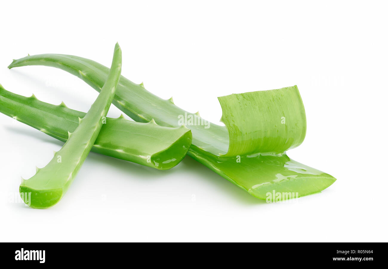 Aloe Vera isolated on white background - clipping path included Stock ...