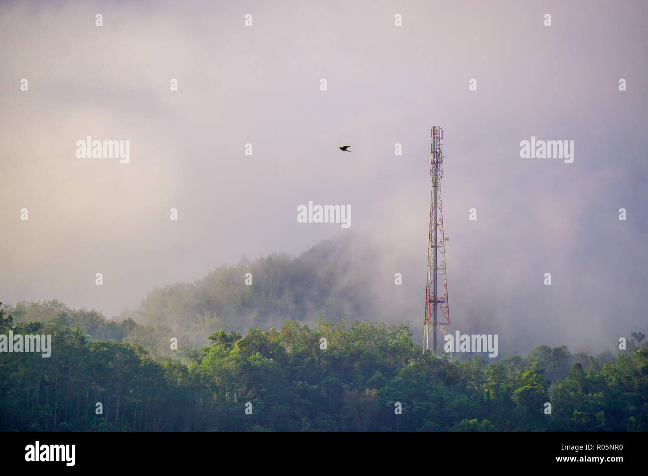 Telecommunication tower built on top of hill surrounded by mist during ...
