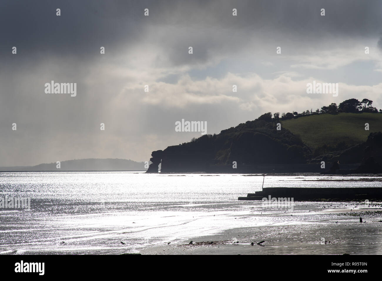 Devon england uk sea stack hi-res stock photography and images - Alamy