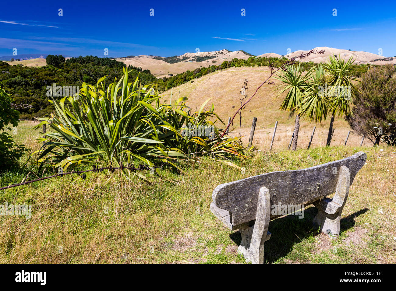 Rockformation stony Batter at Waiheke Island, New Zealand Stock Photo ...