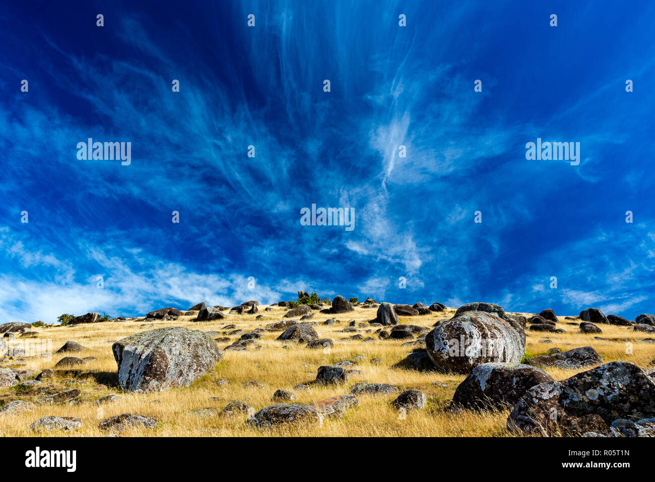 Rockformation stony Batter at Waiheke Island, New Zealand Stock Photo ...