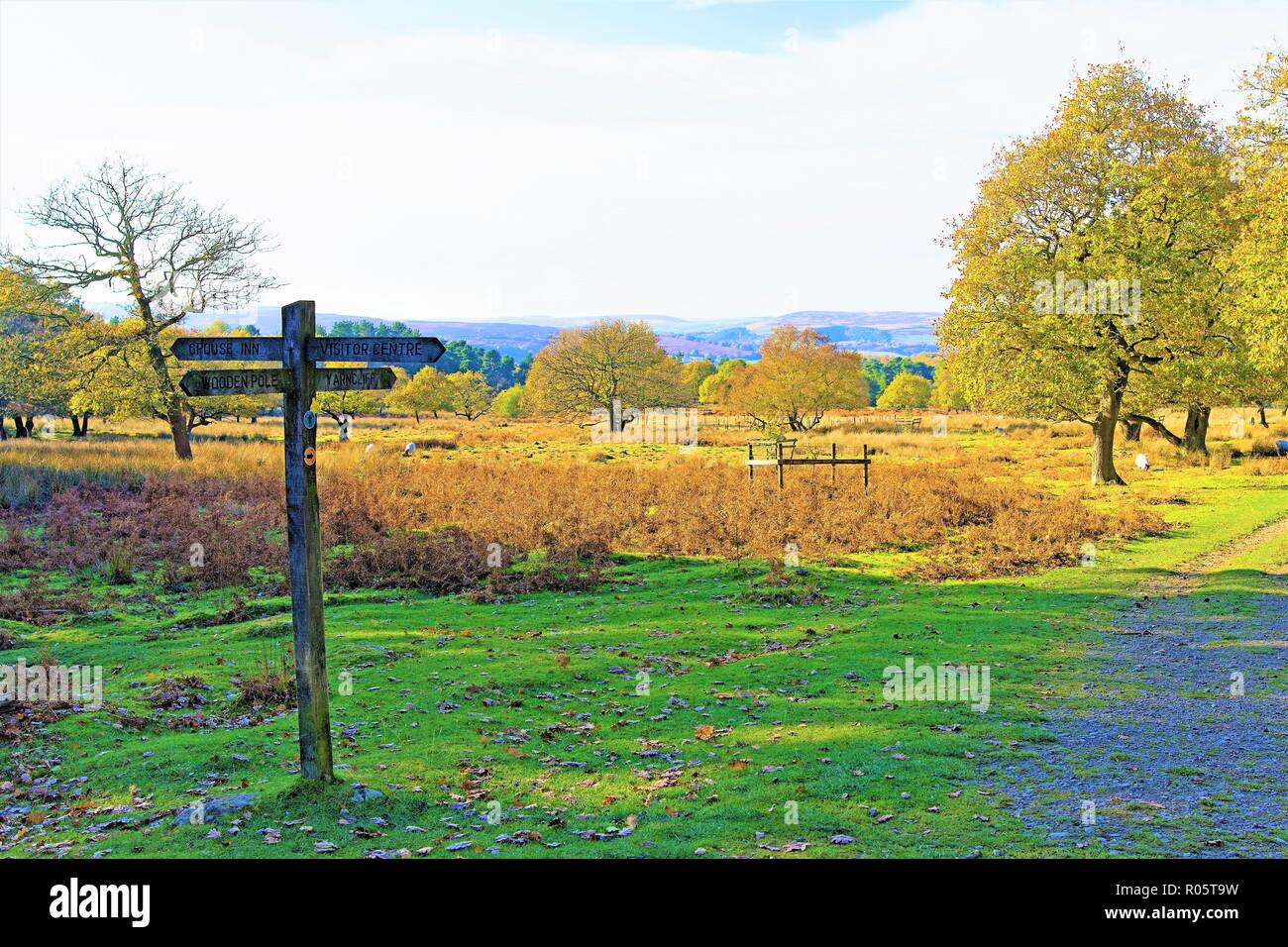 Longshaw estate woods hi-res stock photography and images - Alamy