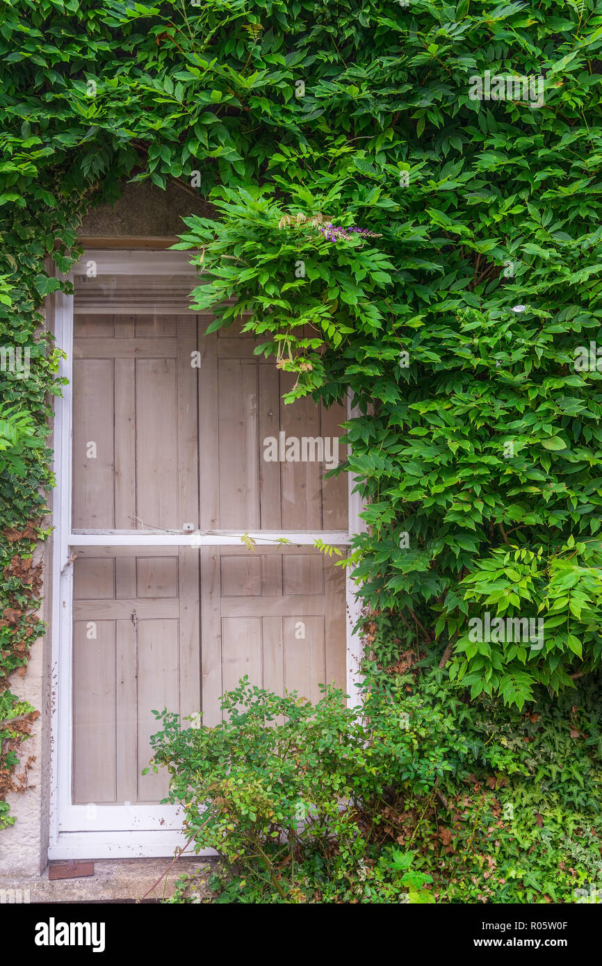 Window and trees Stock Photo - Alamy