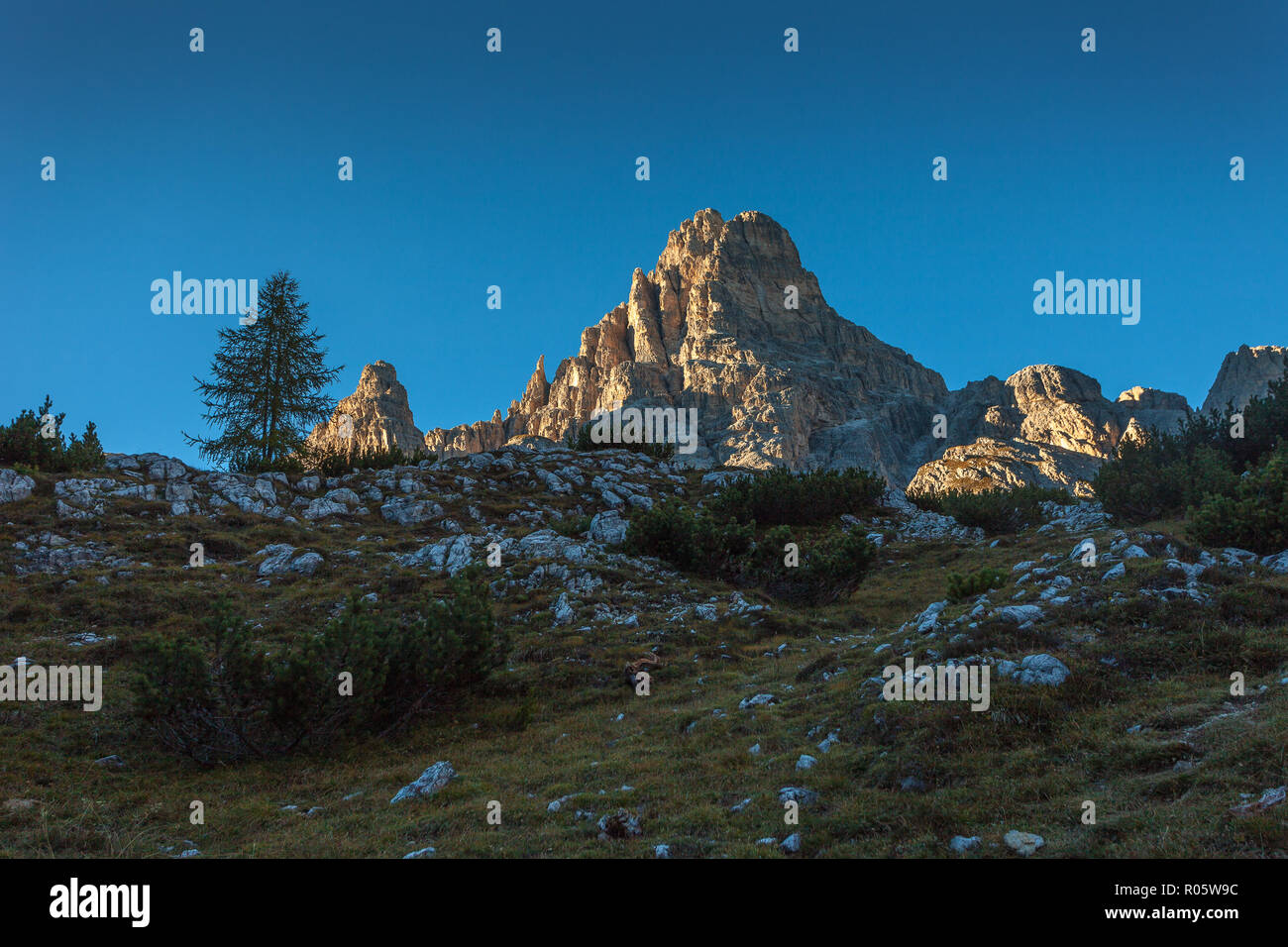 Scarperi hi-res stock photography and images - Alamy