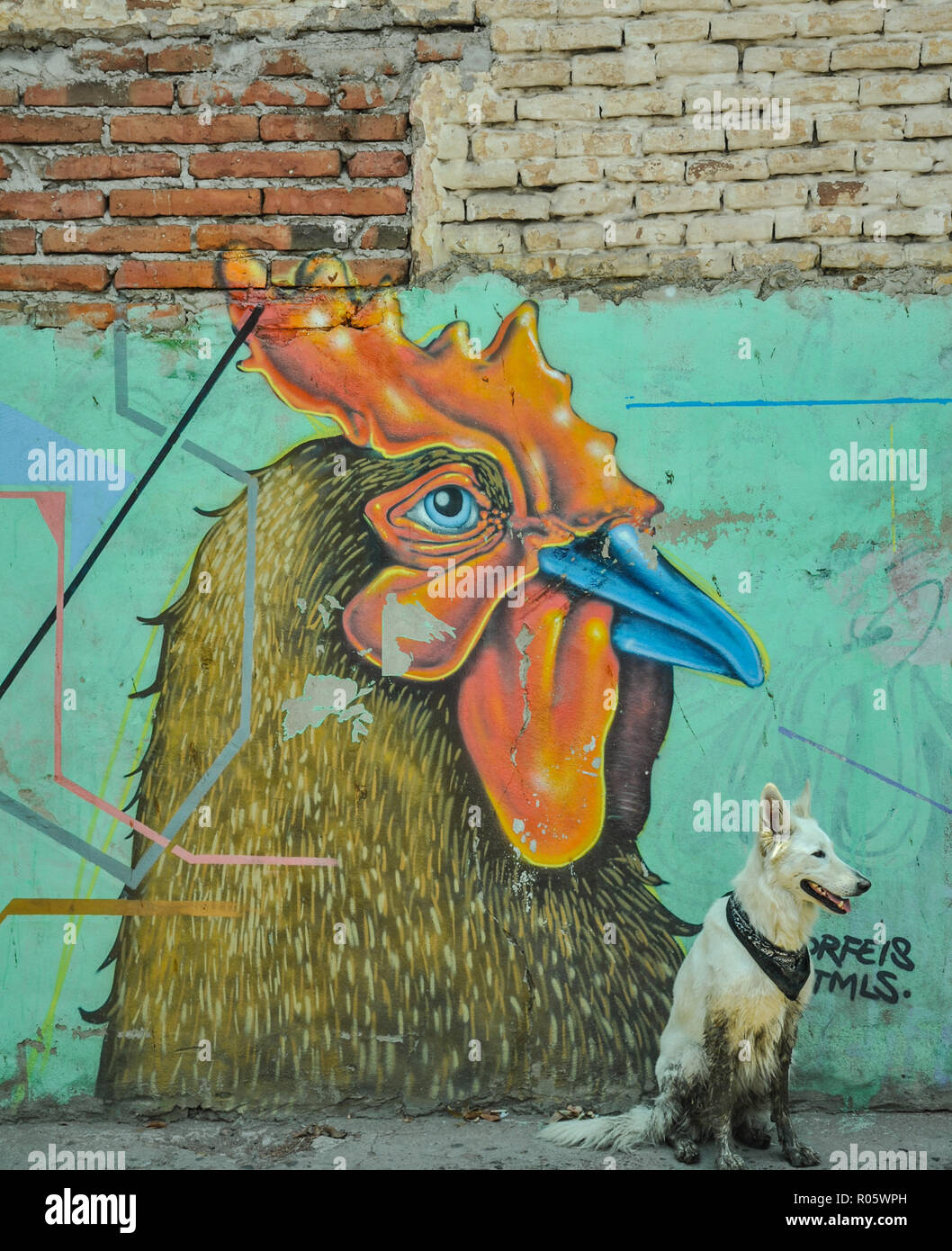 Graffiti rooster hi-res stock photography and images - Alamy