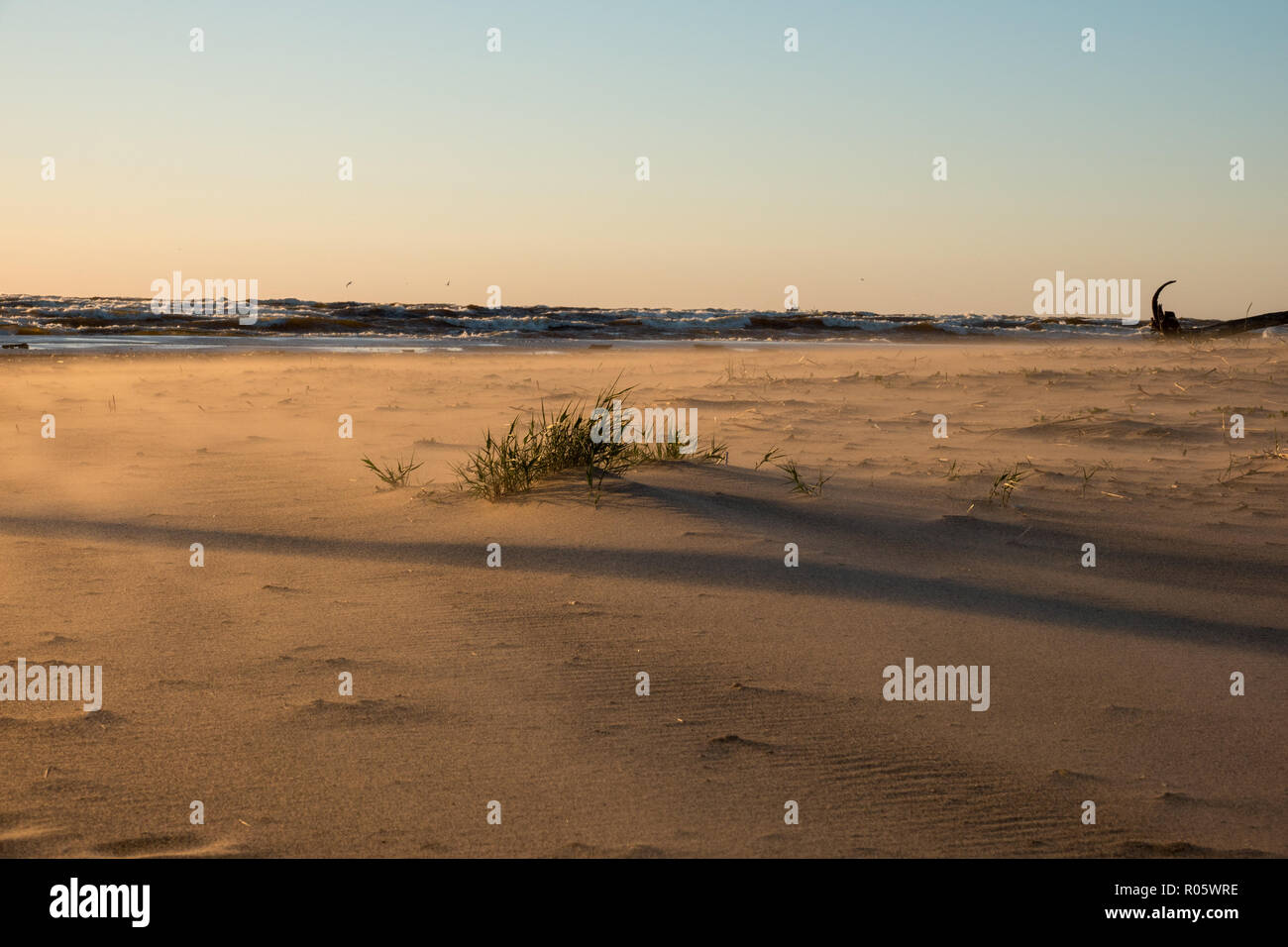 Wind shadows hi-res stock photography and images - Alamy