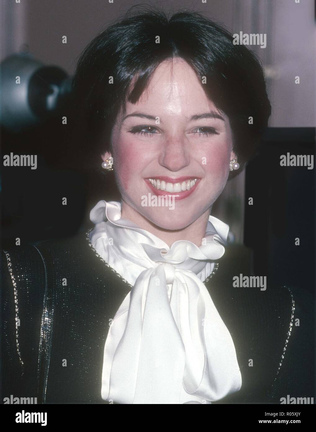 Dorothy Hamill Undated Photo By John Barrett/PHOTOlink/MediaPunch Stock ...