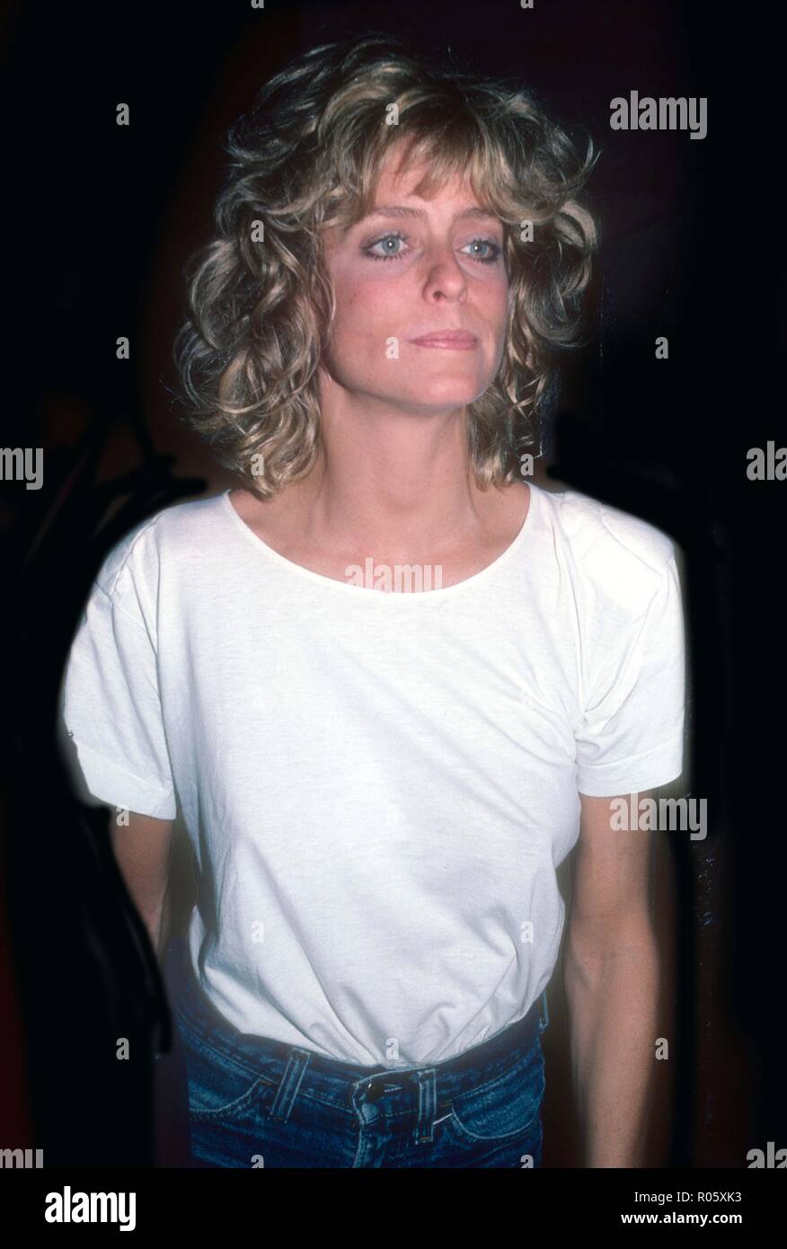 FarrahFawcett 1985 Photo By John Barrett/PHOTOlink/MediaPunch Stock Photo - Alamy