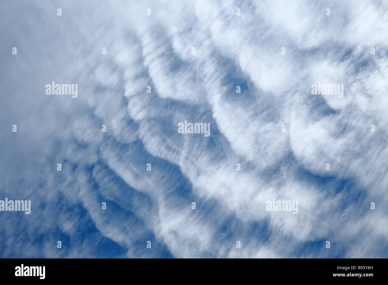 Rippled cirrocumulus clouds, background picture, Canada Stock Photo - Alamy