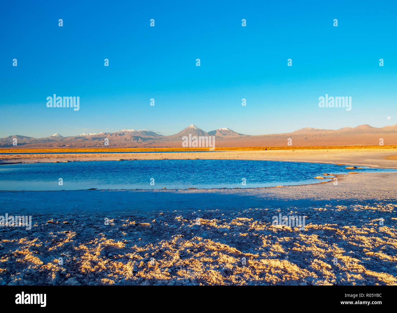 Salar de laguna hi-res stock photography and images - Alamy