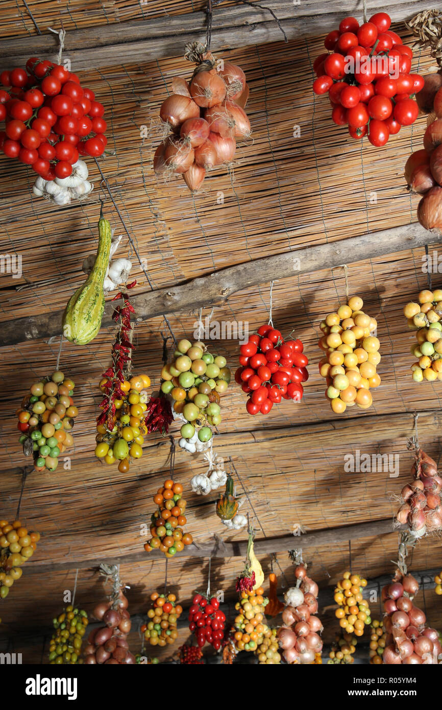 Hanging tomatoes hi-res stock photography and images - Alamy
