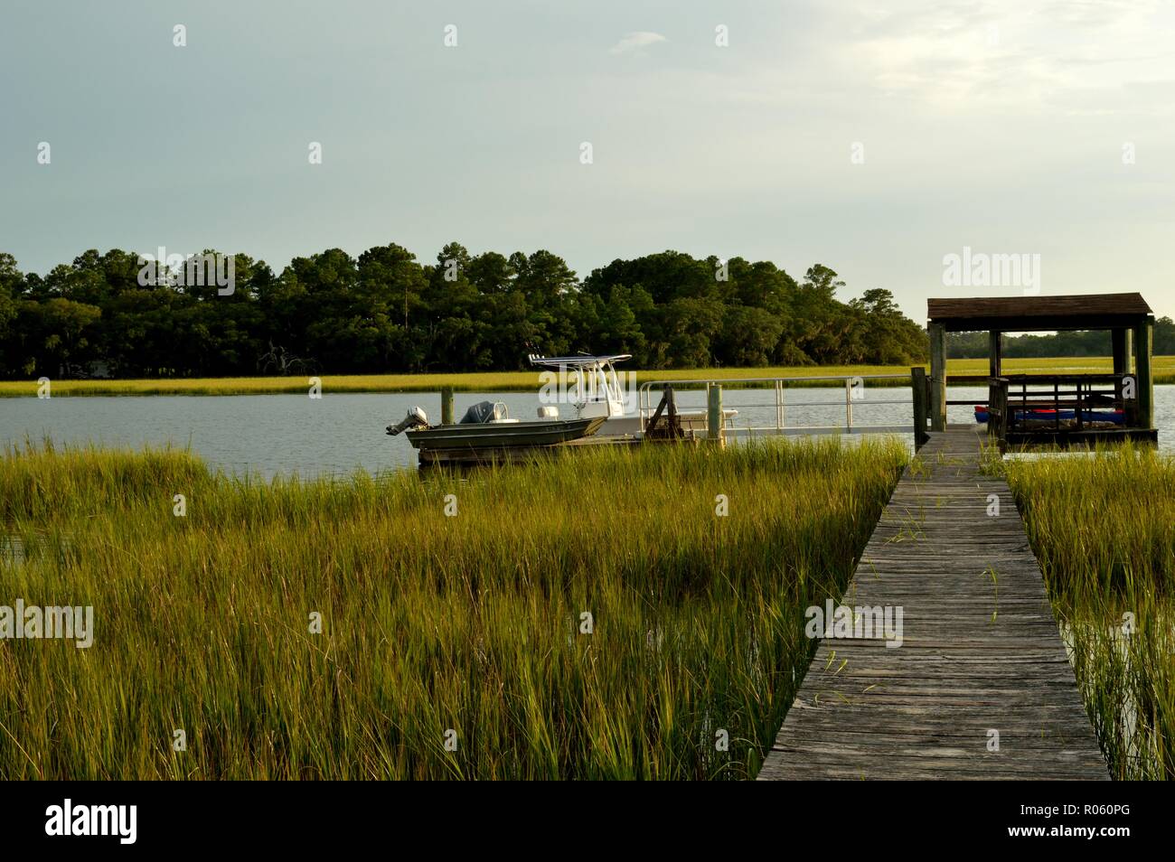 Edisto river hi-res stock photography and images - Alamy