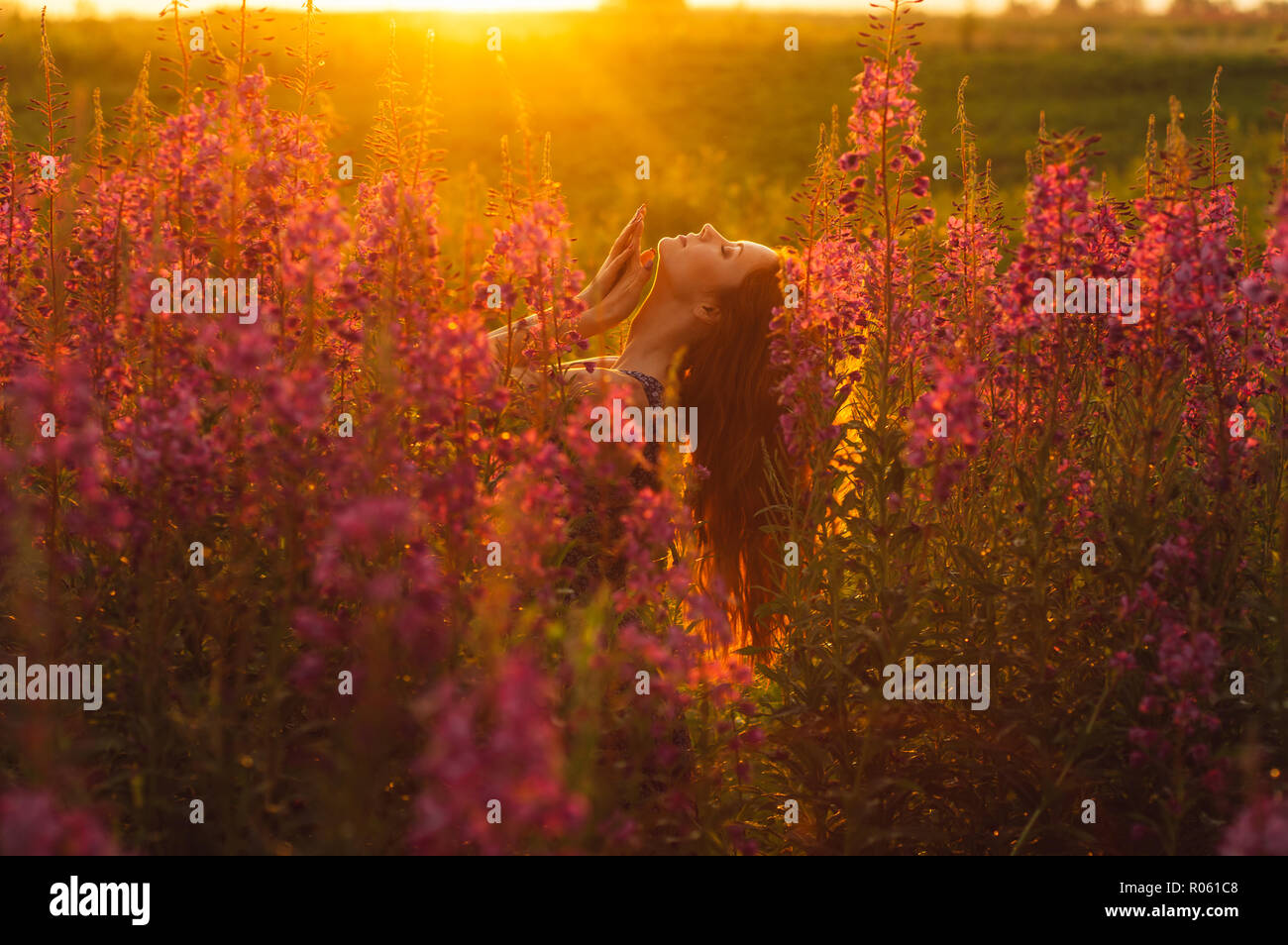 Beautiful girl in profile on field, sun backlight, sunrise, orange ...