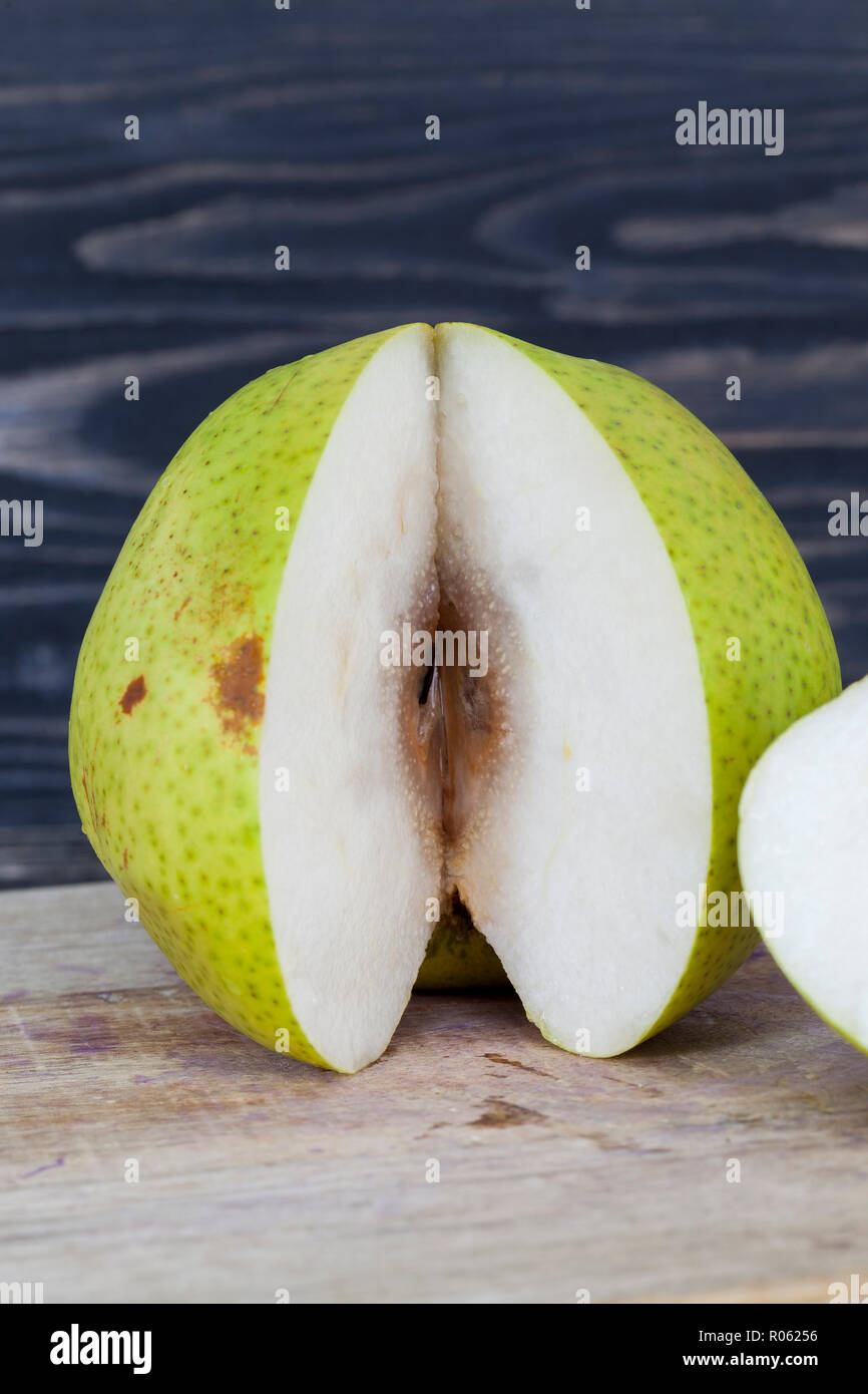 Inside a rotten tree hi-res stock photography and images - Alamy