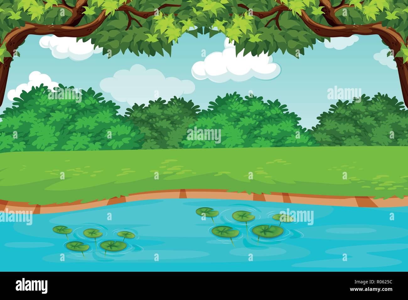 green pond nature scene illustration Stock Vector Image & Art - Alamy