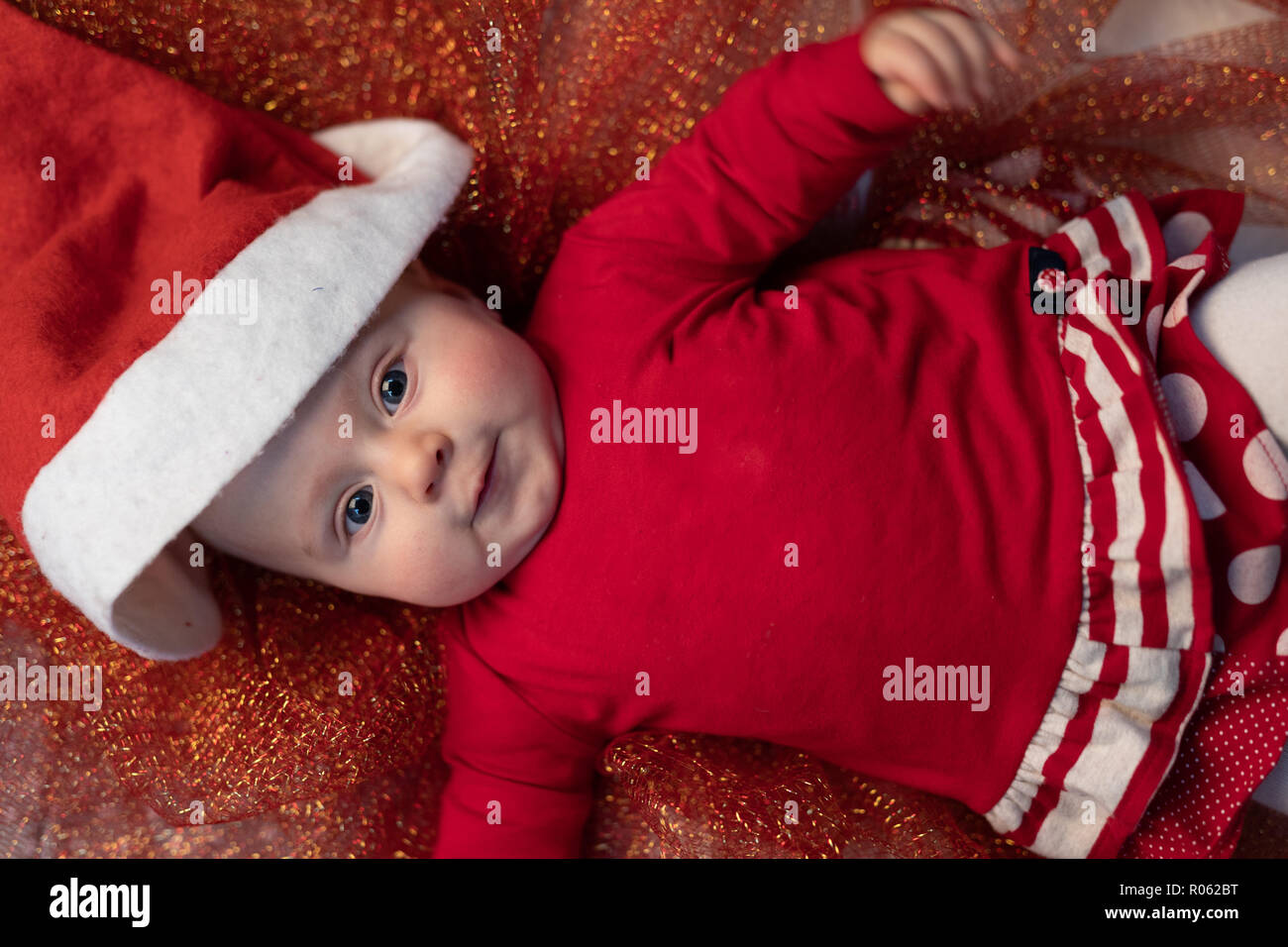 Cute chubby little baby wearing a festive red Santa outfit and hat to ...