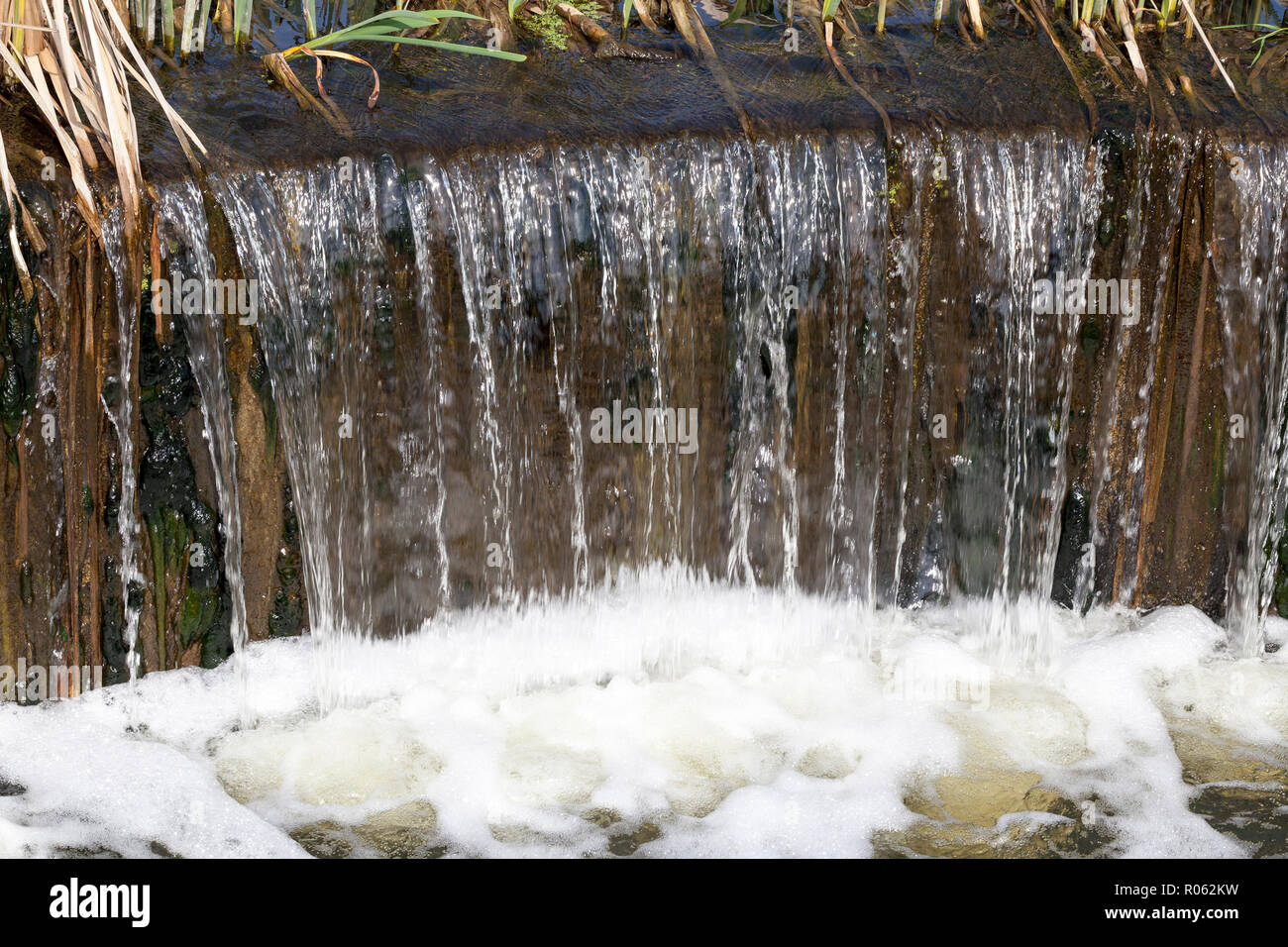a small artificial waterfall in a swamp through which dirty water flows ...