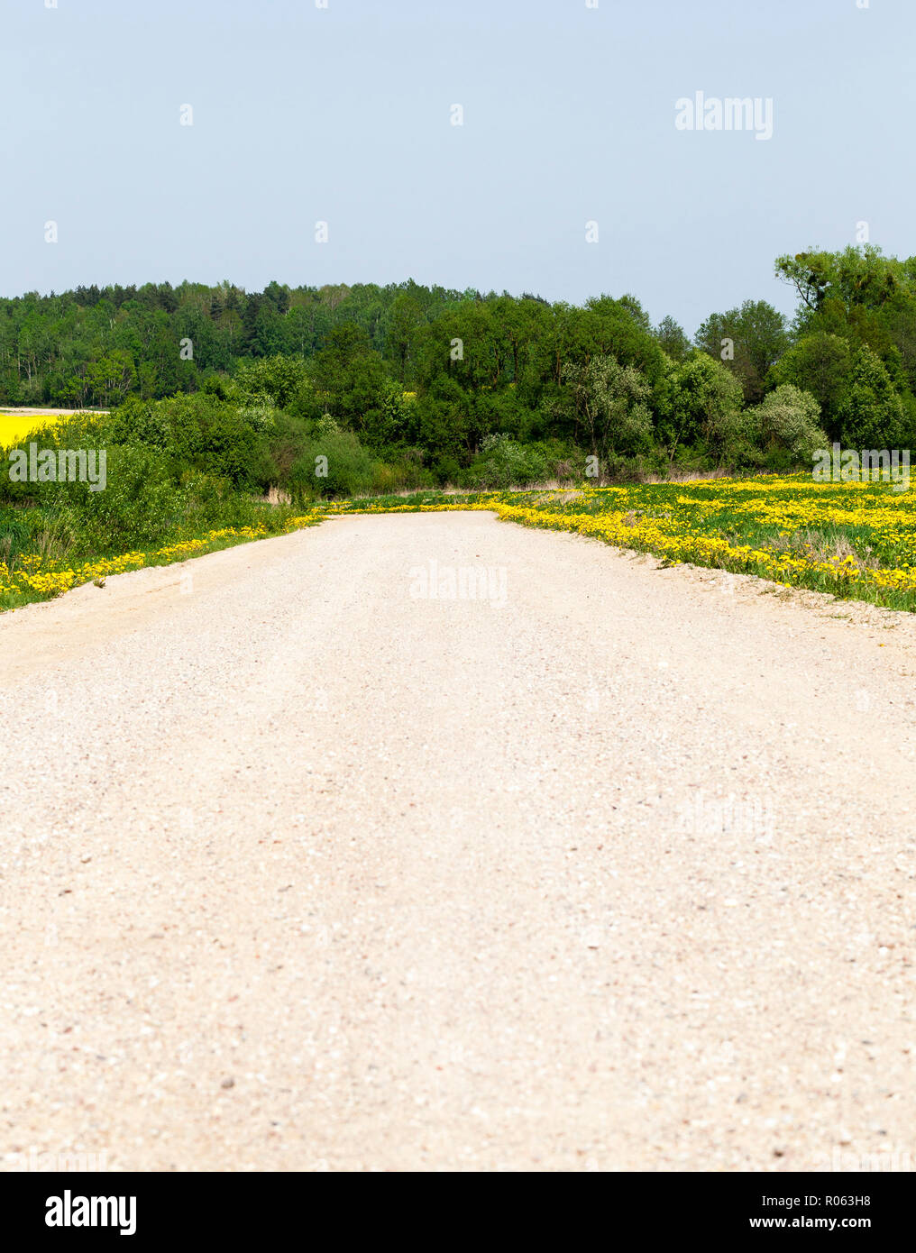 Empty sandy road in hi-res stock photography and images - Alamy